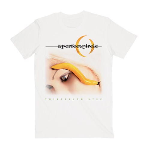 Thirteenth Step Album Tee – A Perfect Circle Store